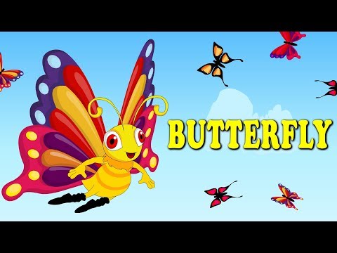 Butterfly Flutter Around | Butterfly Butterfly Nursery Rhyme for Kids