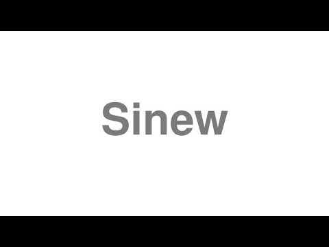 How to Pronounce "Sinew"