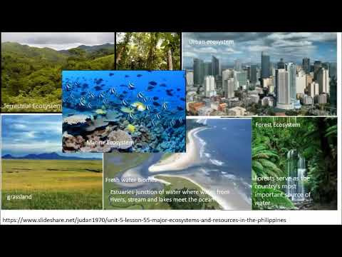 Earth and Life Science - Ecology