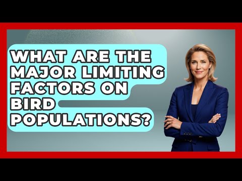 What Are The Major Limiting Factors On Bird Populations? - Bird Watching Diaries