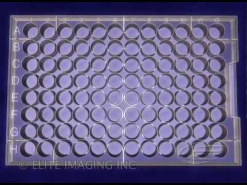 Blood Analyzer Plate - Medical & Scientific Video Production