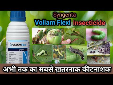 Syngenta Insecticide - Actara Insecticide Latest Price, Dealers ...