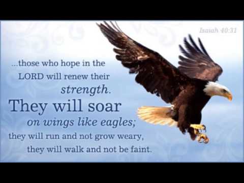 Isaiah 40:28,31 in Hebrew