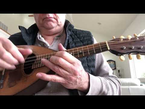 Ditson Empire Bowl Back mandolin - Early 1900s - Brazilian RW | Reverb