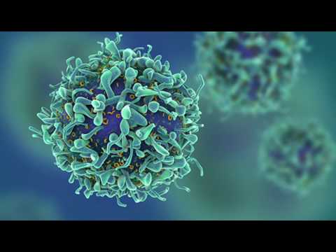 L-Asparaginase Injection - L-ASAP Latest Price, Manufacturers & Suppliers