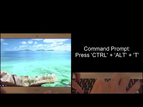Chrome OS Developer Mode & Canary Channel