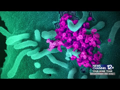 Central Coast healthcare workers rally against California vaccine mandate LIVE PKG