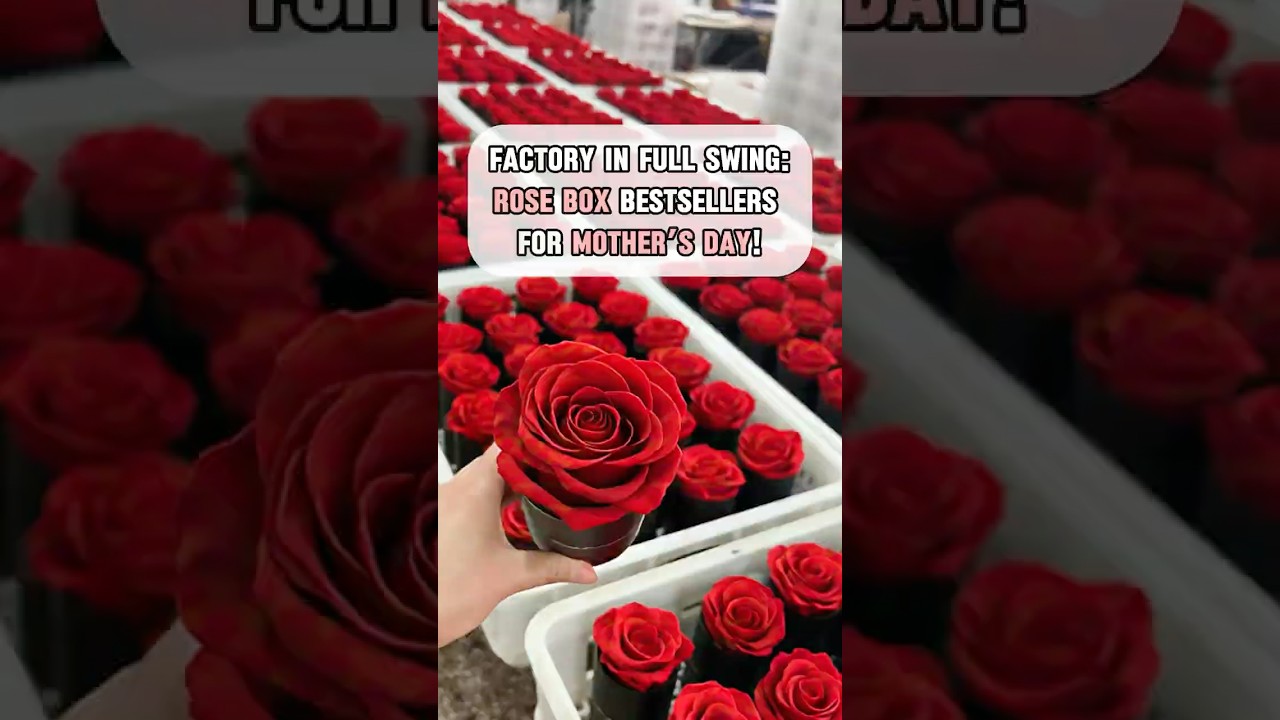 How We Produce Best-Selling Flower Boxes for Mother’s Day 🌸🏭📦 | Factory Tour