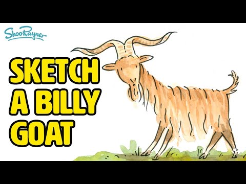 How to sketch a billy goat – Shoo Rayner