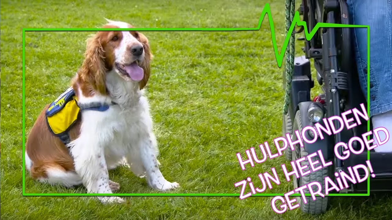 Hulphond - Vilans Hulpmiddelenwijzer