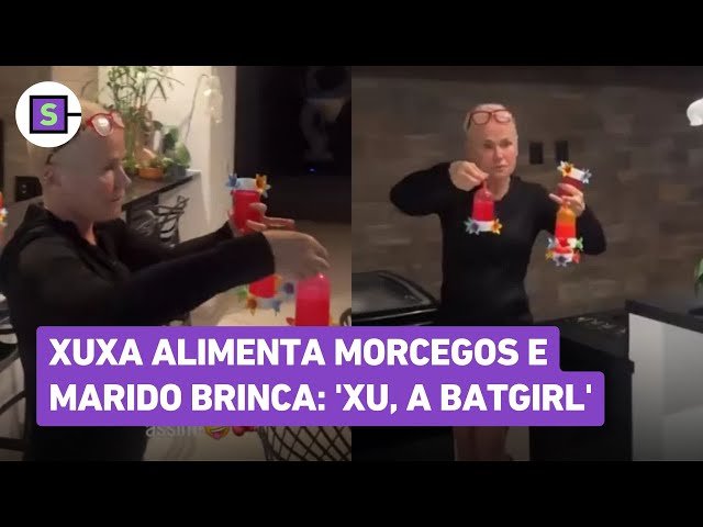 Xuxa alimenta morcegos em casa; é perigoso contato humano com o bicho?