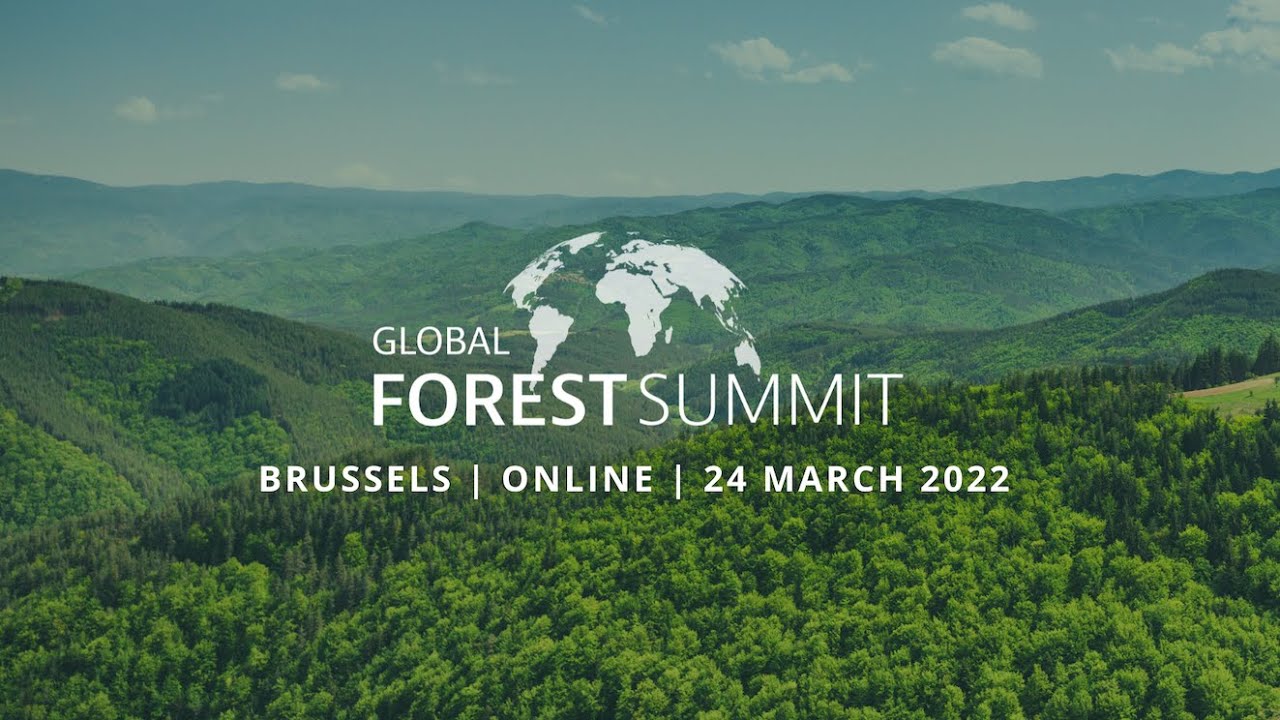 Global Forest Summit 2022