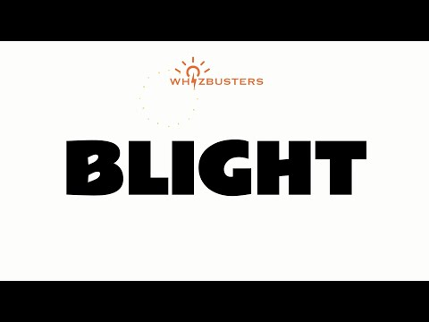 BLIGHT (verb) Meaning with Examples in Sentences | GRE GMAT LSAT SAT