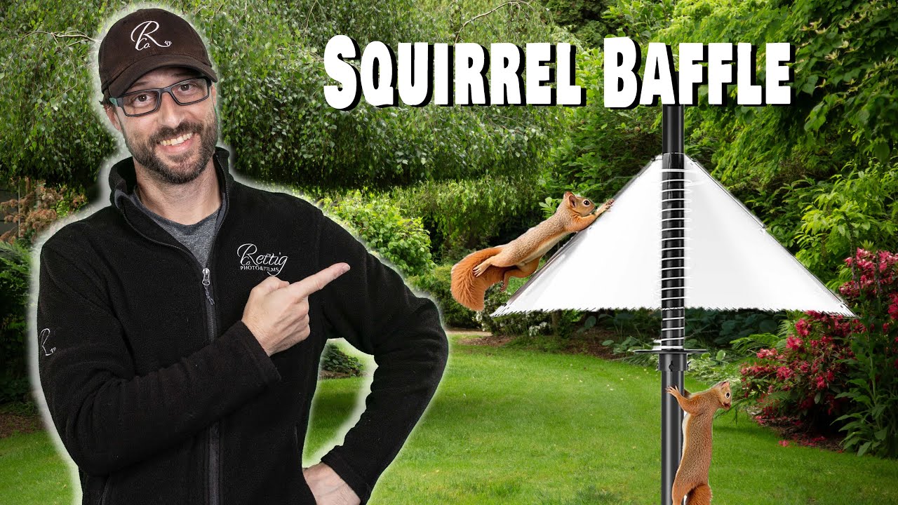 How to Install a Squirrel Baffle | Onlyfly Squirrel-Proof Bird Feeder Setup