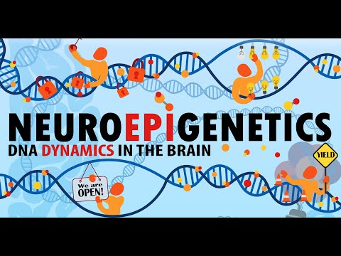 Introduction to Neuroepigenetics (Vanessa B. Sanchez, Neuroscience PhD Candidate)
