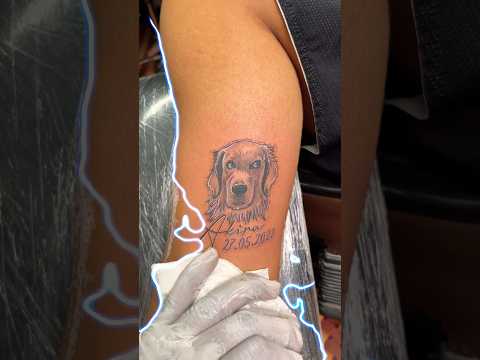 dog tattoo | dog tattoo designs