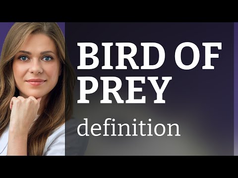 Bird of prey • BIRD OF PREY definition