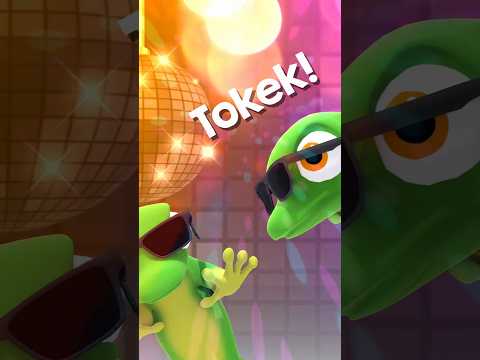 Tokek Tokek - Short - Lagu Anak Lucu - Lagu Binatang