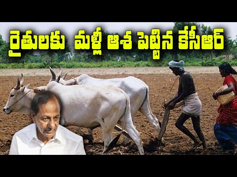 రైతులకు మళ్లీ ఆశ పెట్టిన కేసీఆర్ #savejournalism | Teenmarmallanna Arrest | Qnews