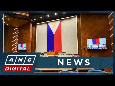 House lawmakers make another push for charter change | ANC