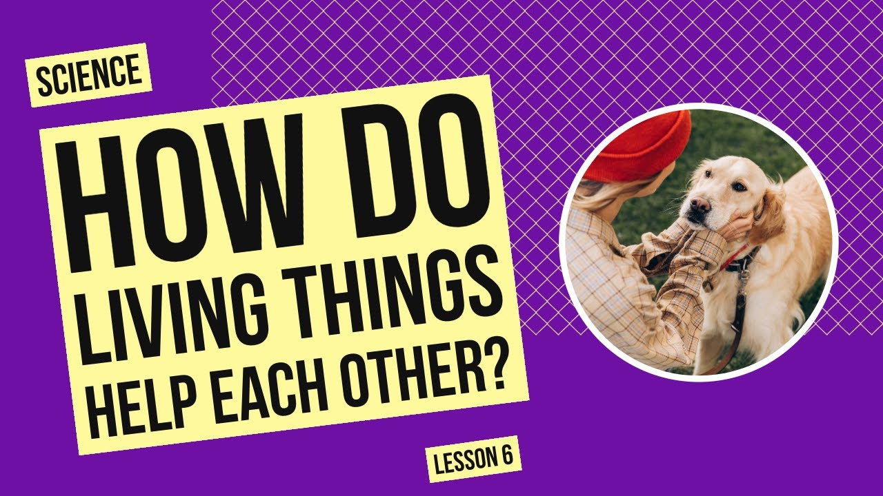 How Do Living Things Help Each Other? | Science Lesson