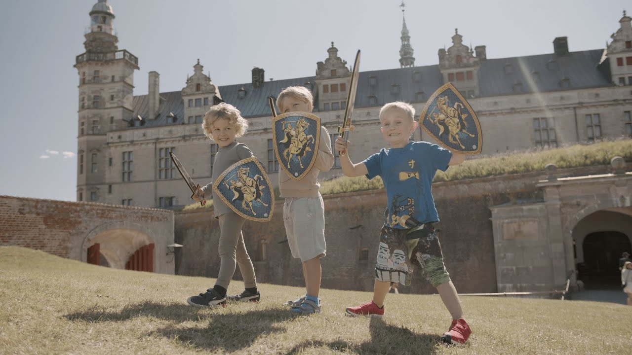 Liontouch - The Panopli Knight