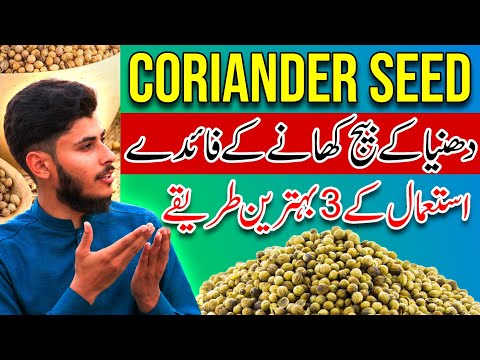 Coriander Seeds Benefits & Uses | Dhaniya Ke Beej Ke Fayde in Urdu/Hindi