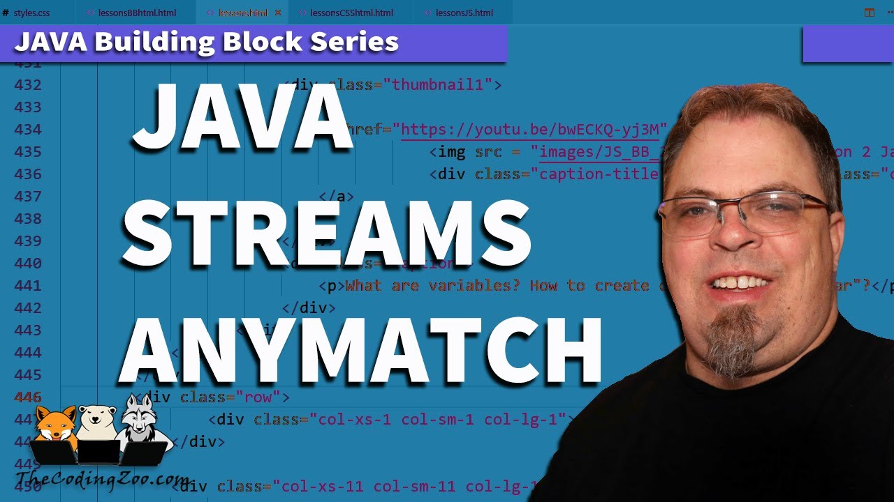 Java Streams AnyMatch