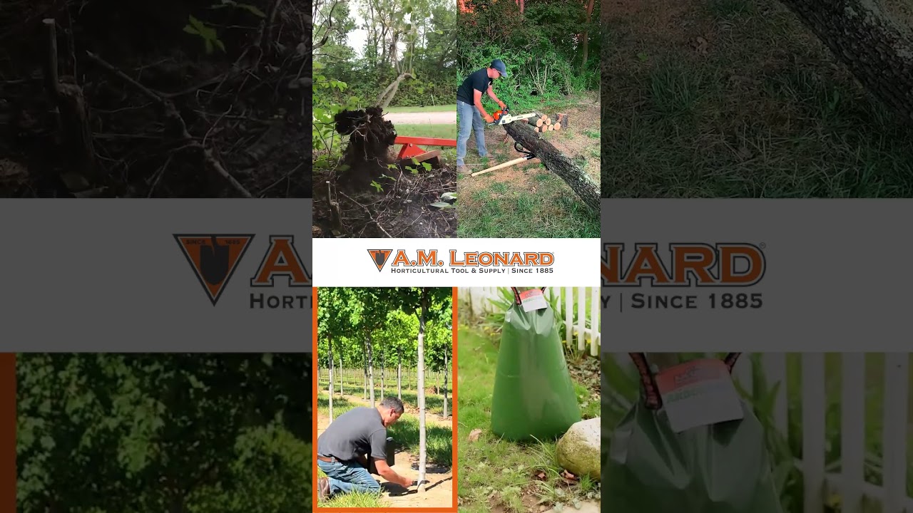 A.M. Leonard- Industrial-Grade Tree Care