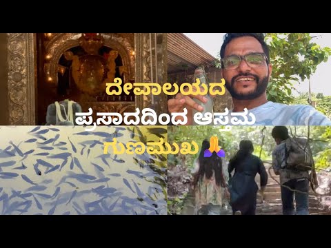 Asthma disease is cured by the prasad of Adyapadi temple! / Prasadam for Asthma Relief!