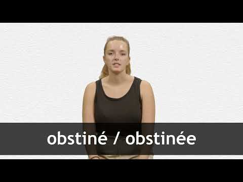 English Translation of “OBSTINÉ” | Collins French-English Dictionary