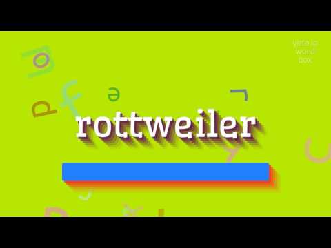 How to say "rottweiler"! (High Quality Voices)