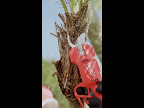 M12™ Brushless Pruning Shears