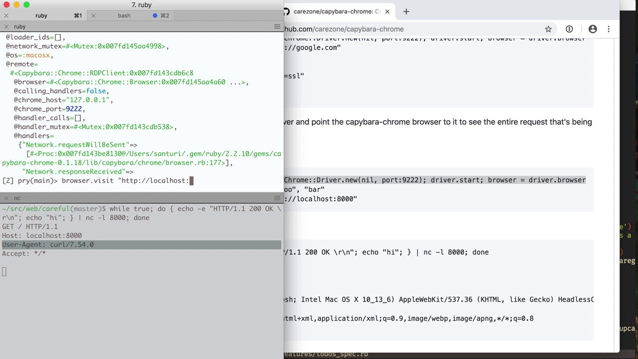 capybara-chrome netcat