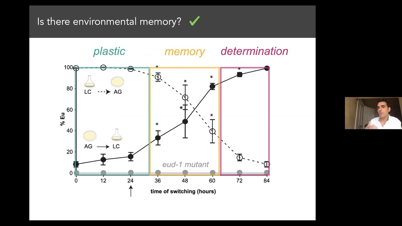 Epigenetic mechanisms of developmental plasticity