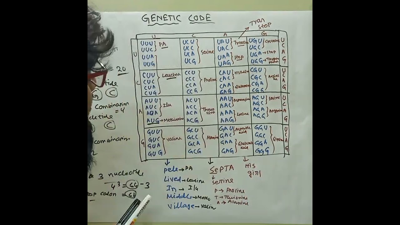 Mnemonic on codon/ Mnemonic on genetic code/neet/ biology