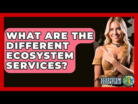 What Are The Different Ecosystem Services? - Ecosystem Essentials