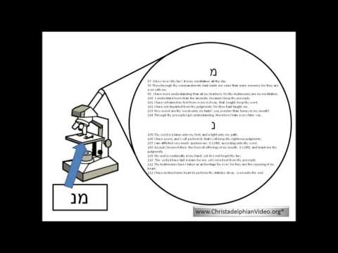 The meaning of the word `manna'