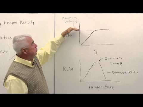 Enzyme Activity #science #chemistry #enzymeactivity