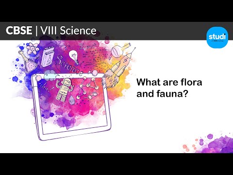 What are Flora and Fauna | CBSE Class 8 Biology | Tata Studi (TCE)
