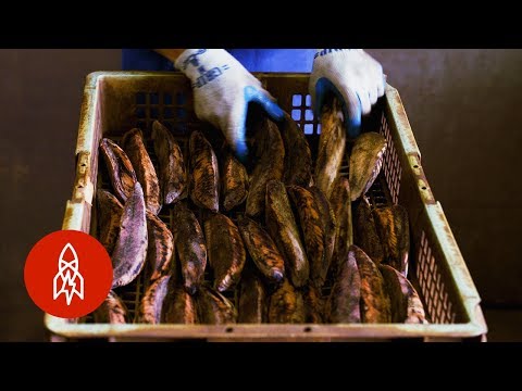 Eating the Hardest Food in the World | 15 Minute Fun