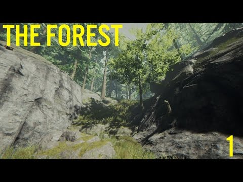 Steam Community :: Video :: Into The Woods! | The Forest #1