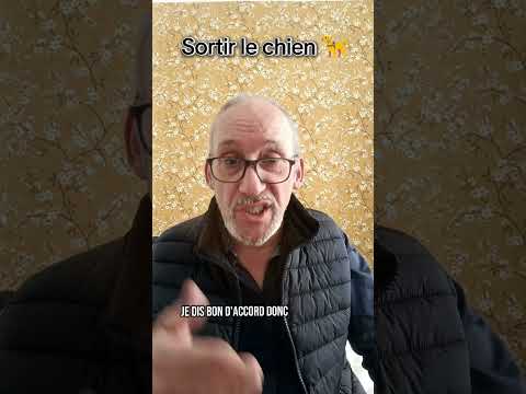Sortir le chien 🦮 #comique #humour #rire #sortirlechien #chien #animal #drole