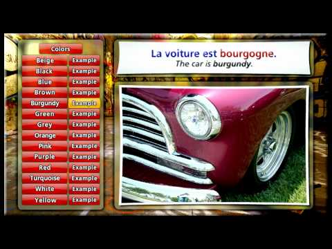 Learn French with Ouino: Les couleurs (Colors)