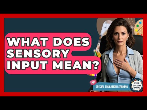 What Does Sensory Input Mean? - Special Education Learning