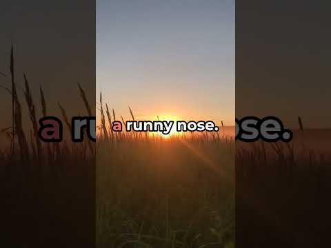 Tips to Manage Ragweed Allergy Symptoms #allergies #shorts