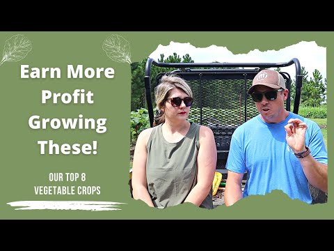 The Most Profitable Crops to Grow for a Small-Scale Market Garden