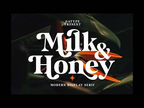 Milk and Honey: A Bold, Trendy and Thick Serif Font for Spectacular Designs