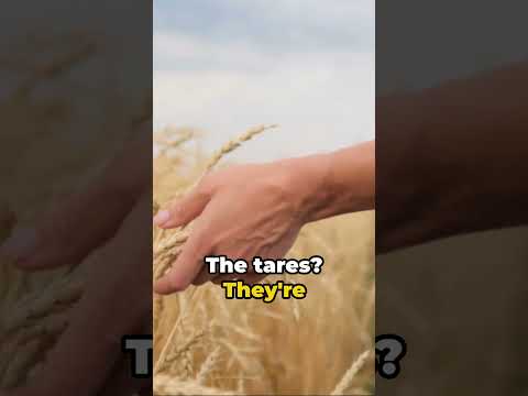 The Parable of the Wheat and Tares #bible #bibleparables #scriptureinspiration #motivation #fyp