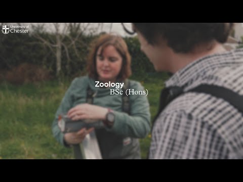 Study Zoology BSc (Hons) at the University of Chester